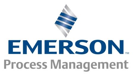 Emerson Process Logo